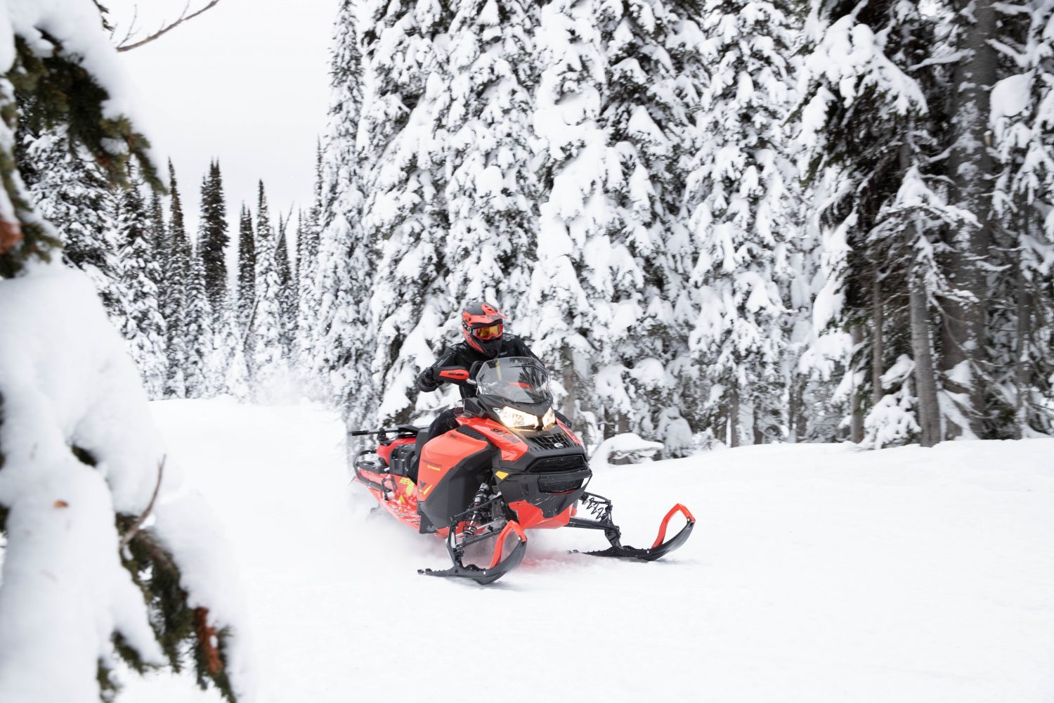2 days snowmobile package Backcountry in the Laurentian reserve