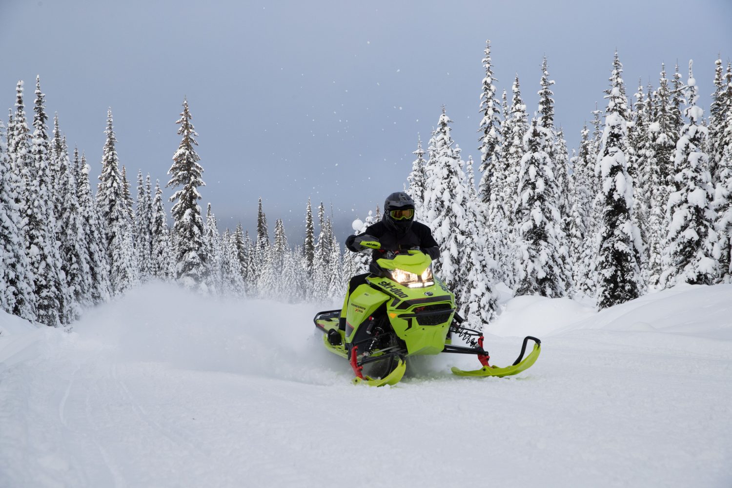Snowmobile Woods Quebec