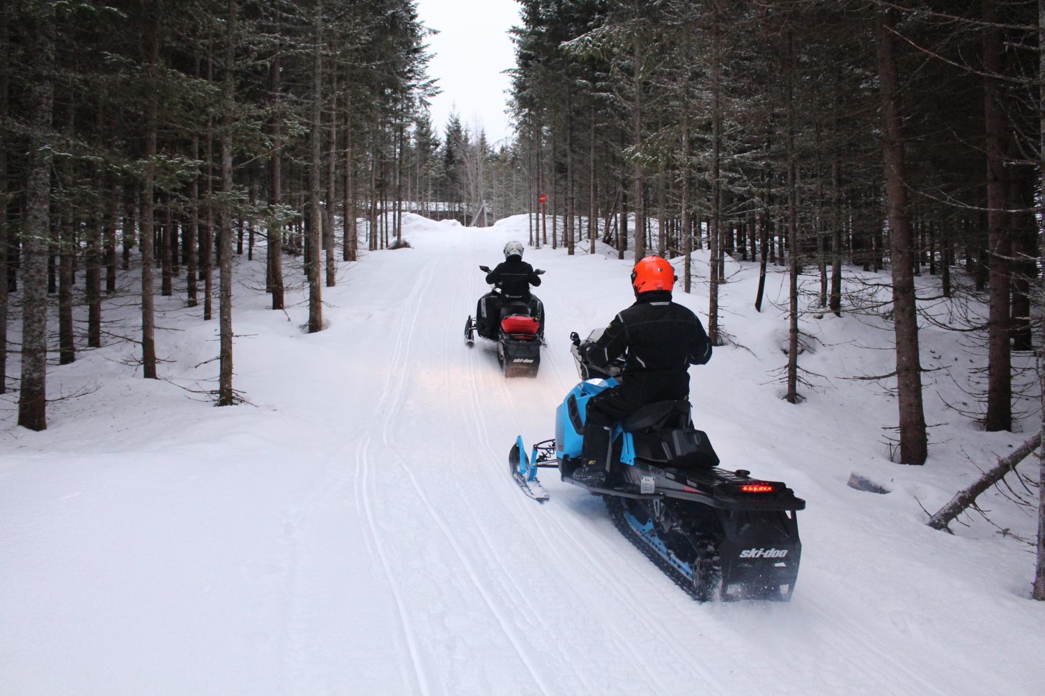 Half a day snowmobile ride Quebec